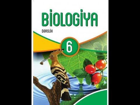 Biologiya 6-cı sinif Dərs 48.İnsan və canlı təbiət (Səhifə 142-143 ...