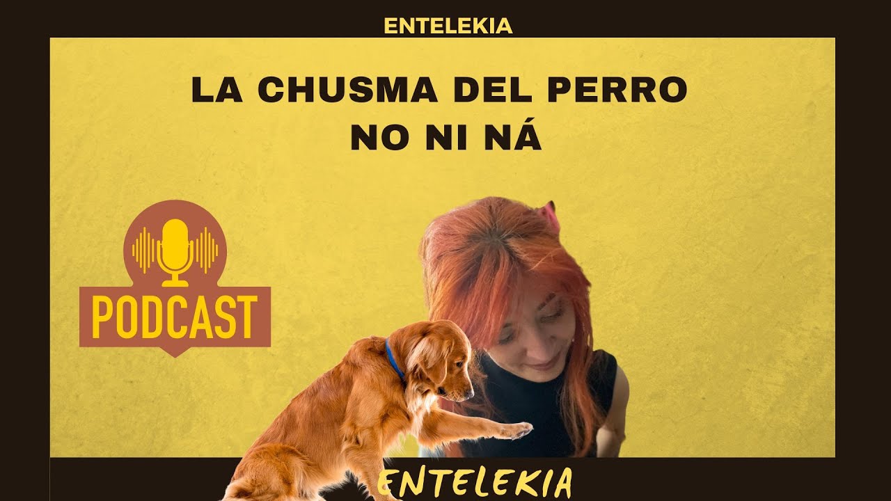 LA CHUSMA DEL PERRO, Podcast: NO NI NÁ | ¡Atrévete a ser tu! - YouTube
