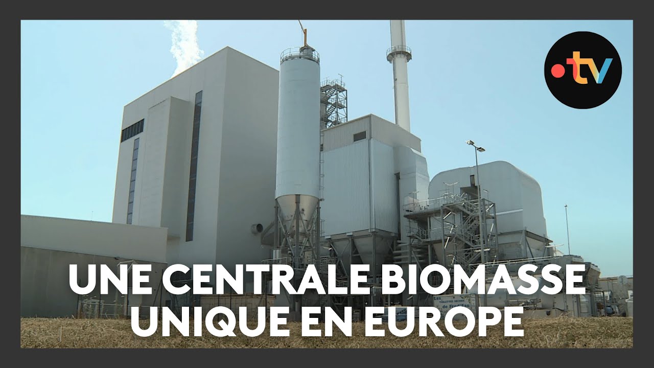 Cette centrale biomasse unique en Europe produit de l'électricité et de ...