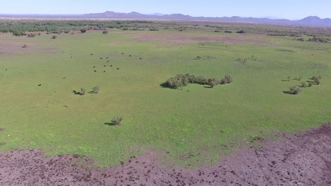 Picacho Reservoir Eloy Az. - YouTube