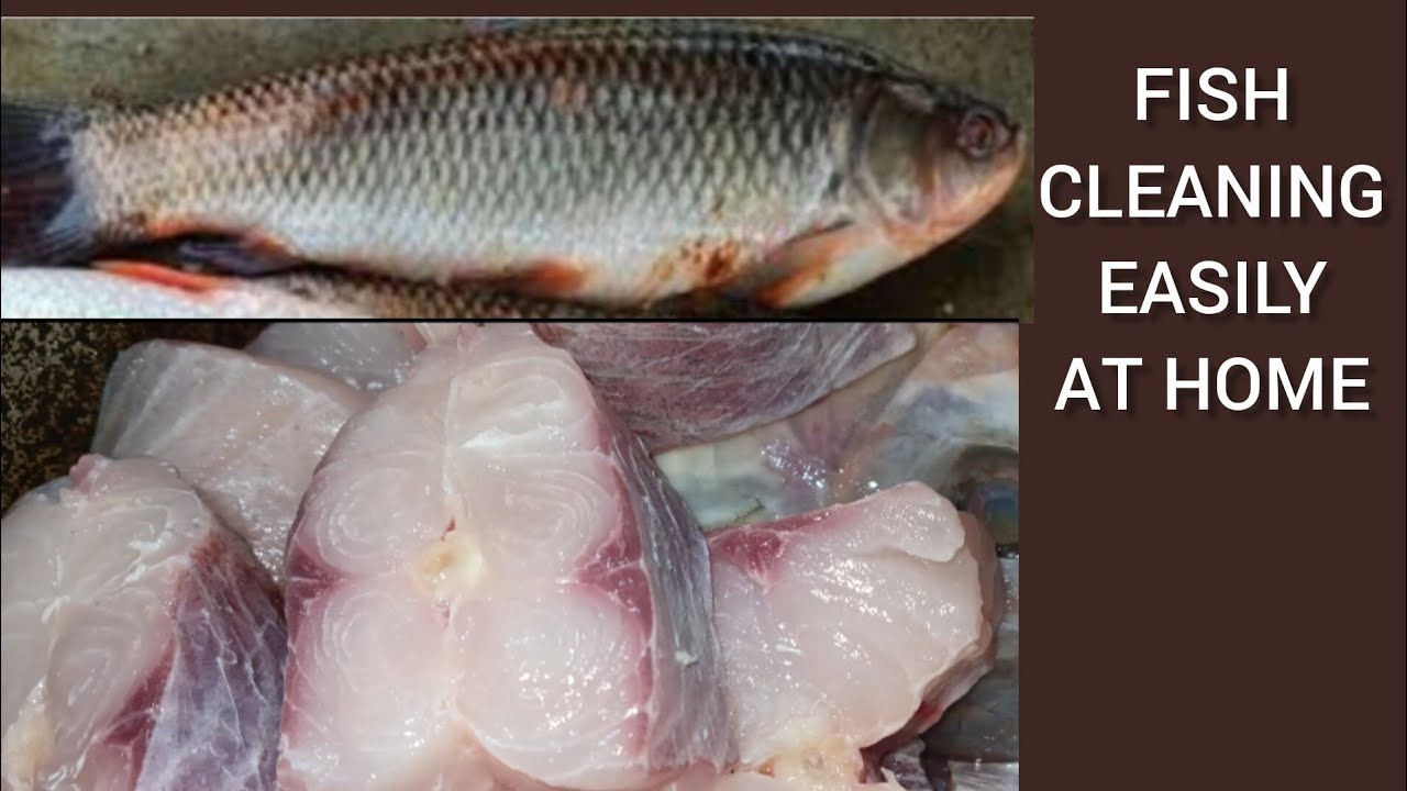 నిమిషంలో చేపలు శుభ్రపరచడం ఎలా? Easy Fish Cleaning at Home How to clean ...