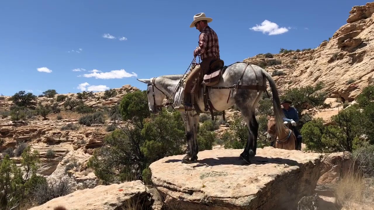 Jet mule and Ty rock hopping - YouTube