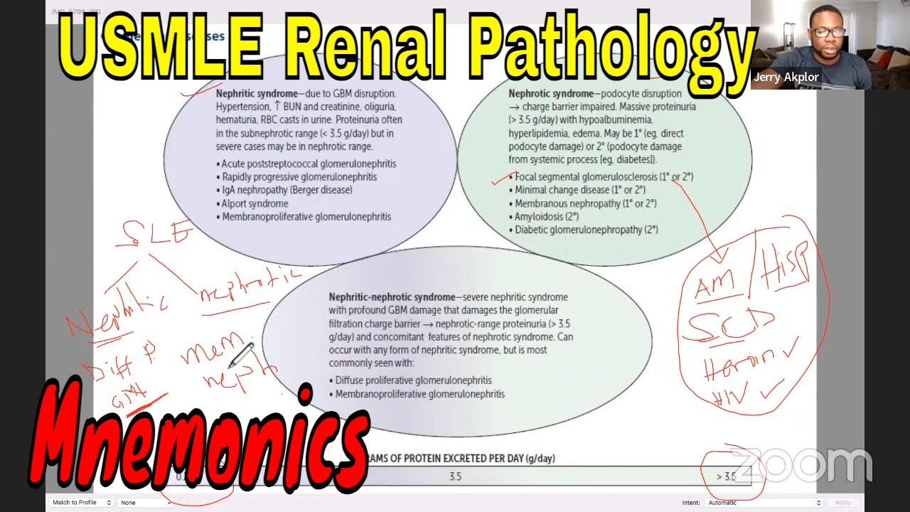 Renal Pathology Made easy with mnemonics || USMLE - YouTube
