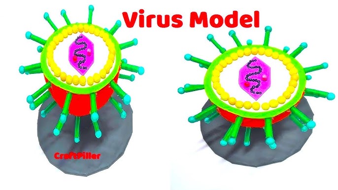 Hiv Model