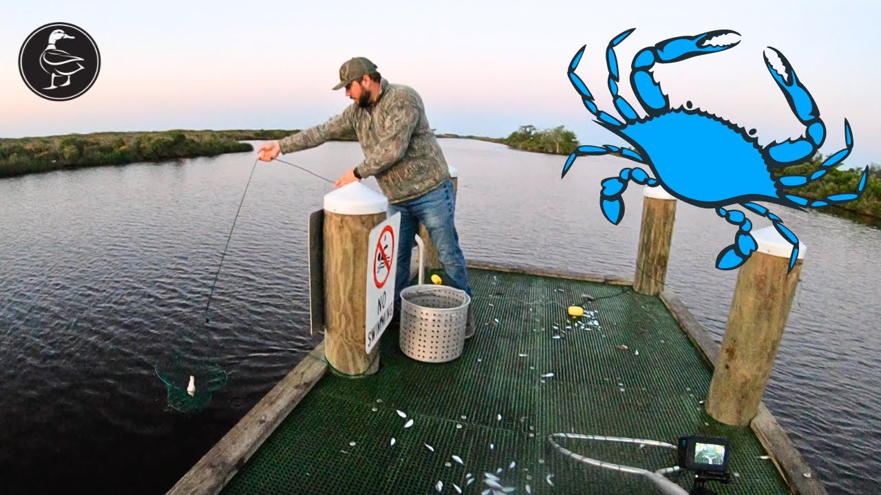 Catching Blue Crabs From a Public Pier! Louisiana Catch & BOIL! - YouTube
