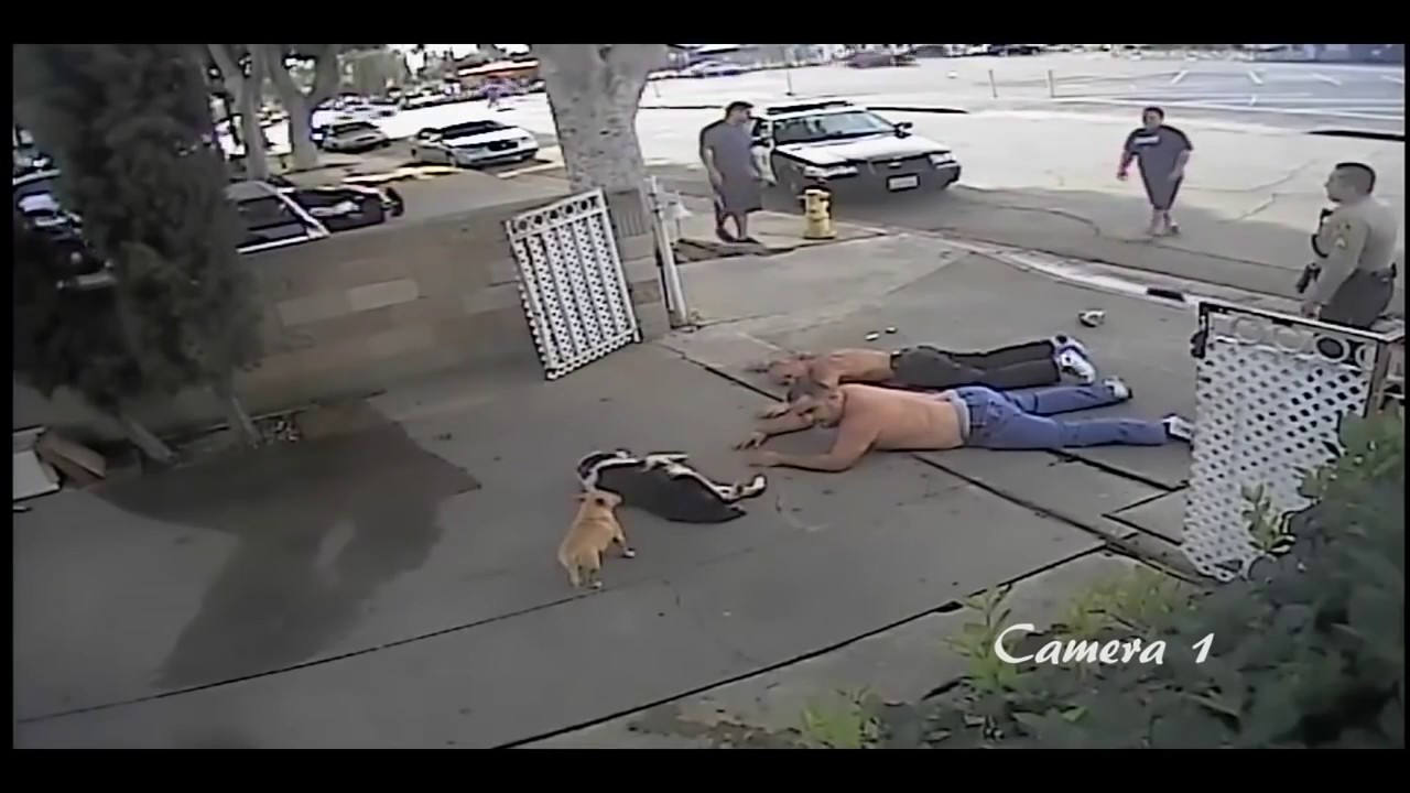 Street Fight caught on security camera - YouTube