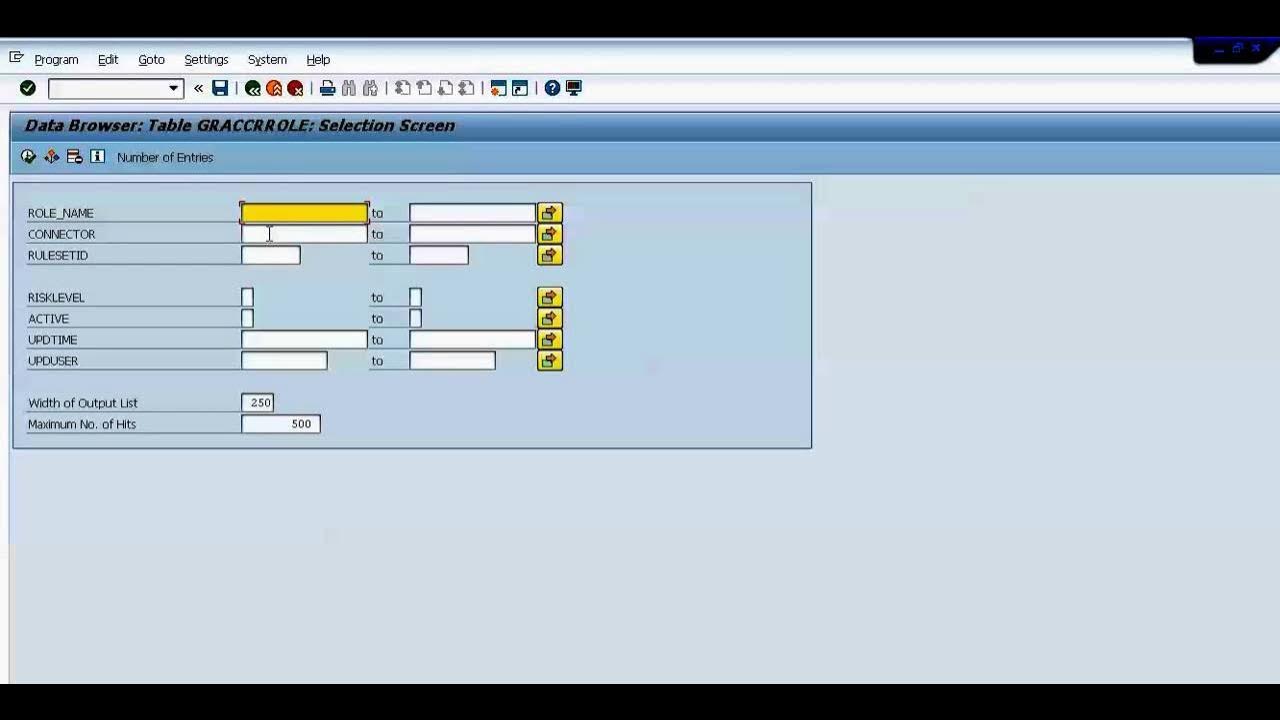 Sap Security GRC 10 Access Control Important Tables SE16 GRAC* Online ...