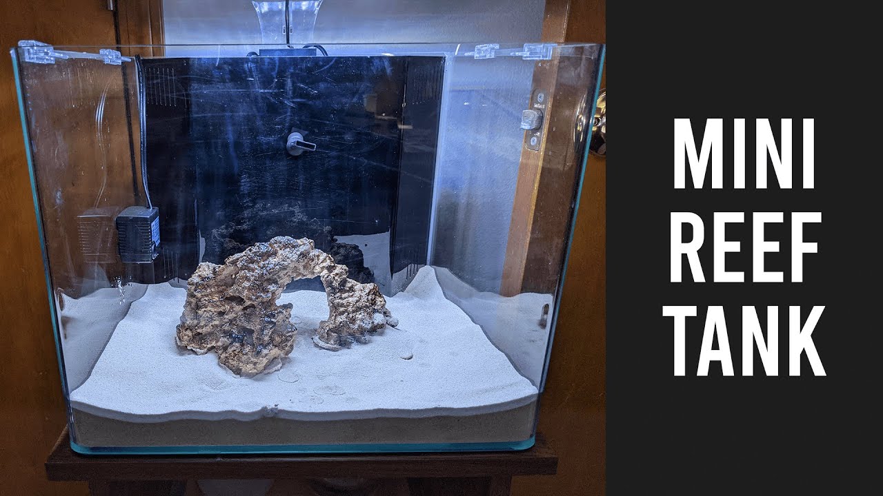 Setting up a Mini Reef Tank! - MRT Episode 2 - YouTube