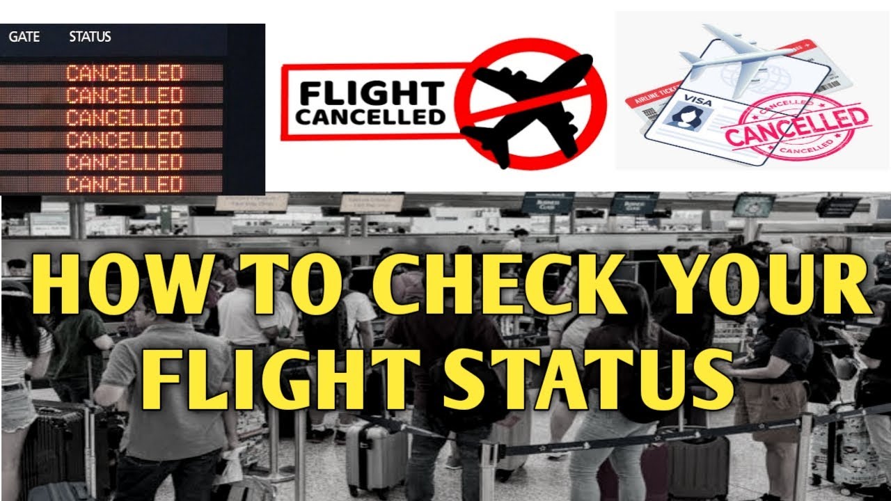HOW TO CHECK YOUR FLIGHT STATUS IF CANCELLED OR DELAYED - YouTube