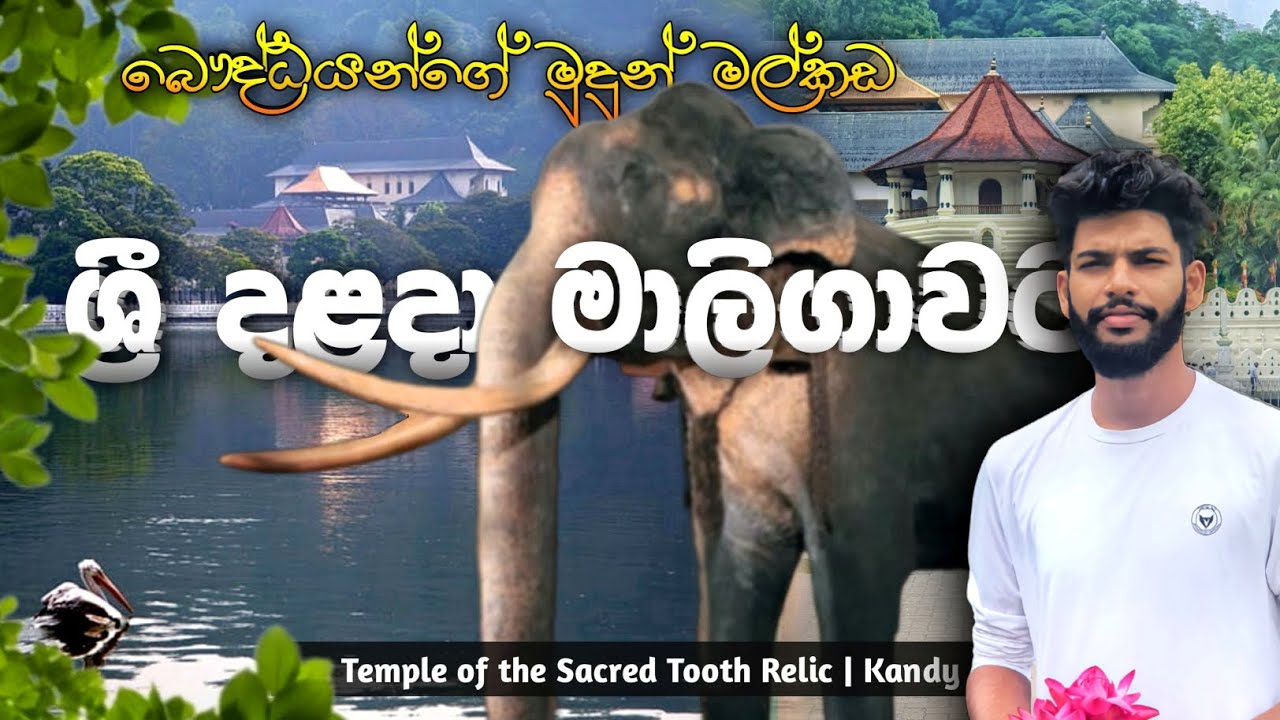 Nuwara Dalada Maligawa | හිත නිවාගන්න දළදා මාලිගාවට යමුද ? | Temple Of ...