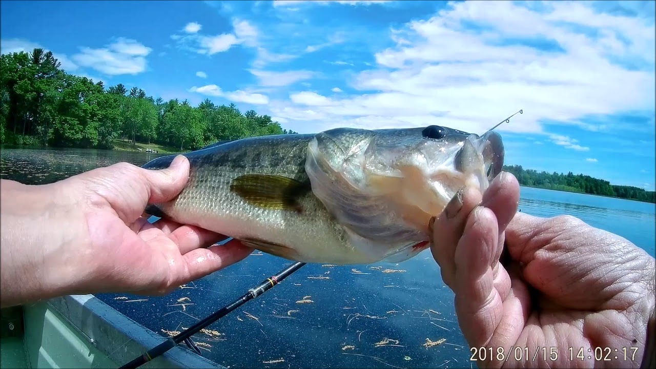 Pond Fishing in New Hampshire May 30 2020 panfish and some Bass - YouTube