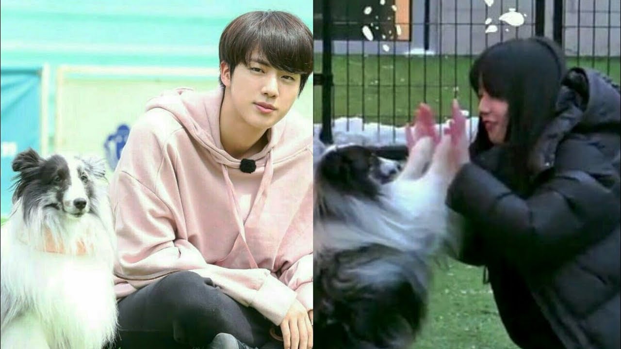 BTS Jin & BLACKPINK Jisoo (JINSOO) Playing with same dog (Adam) - YouTube