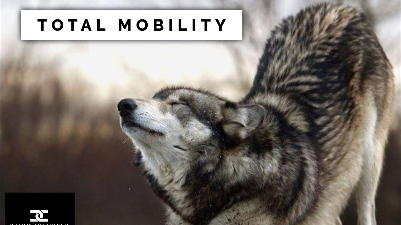 TOTAL MOBILITY DAY 1 - YouTube