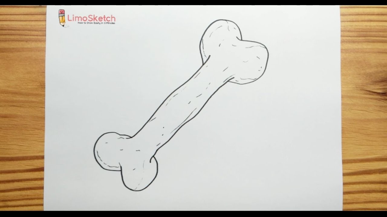 HOW TO DRAW A BONE Easy Step By Step YouTube HOW TO DRAW A BONE Easy Step By Step YouTube