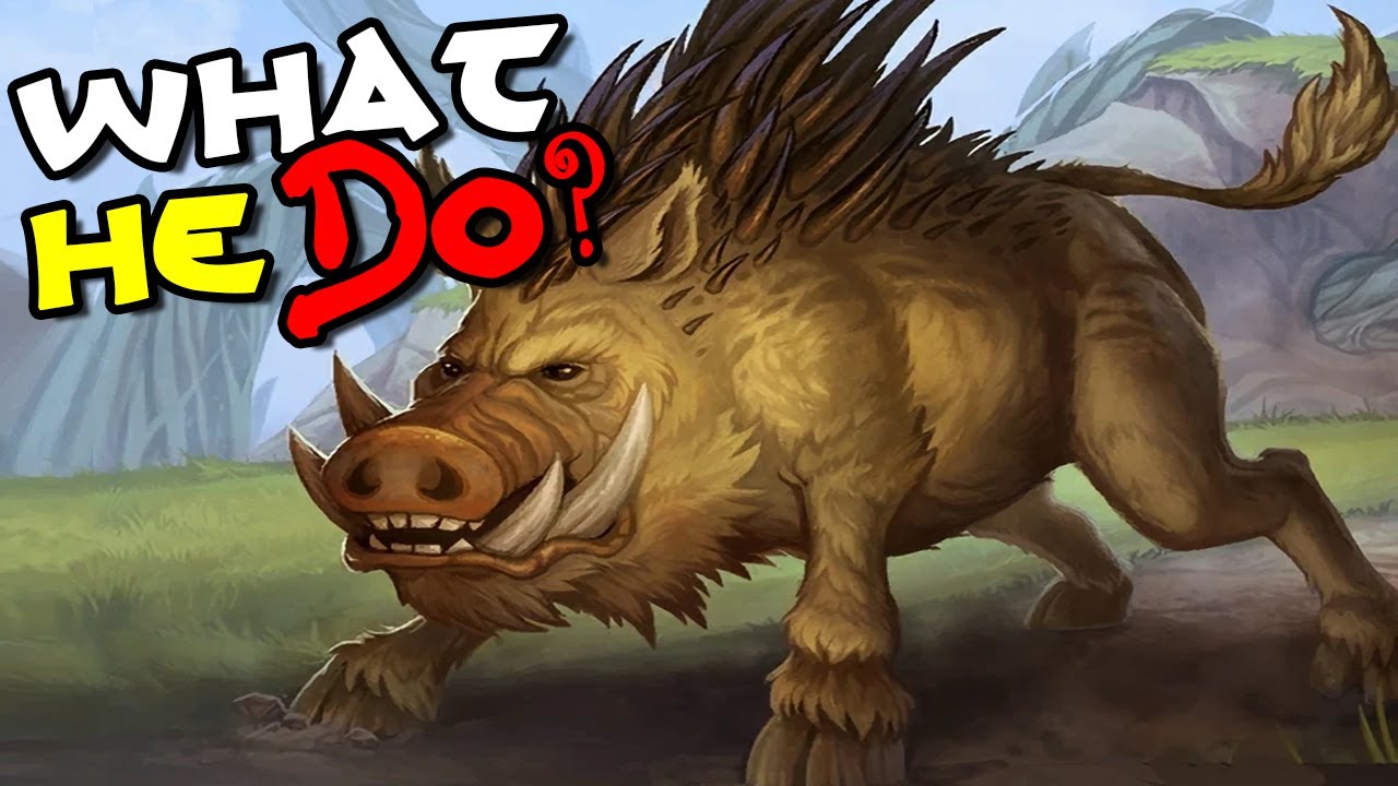 What the Quillbeast Do? - YouTube