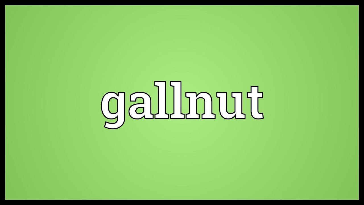 Gallnut Meaning - YouTube
