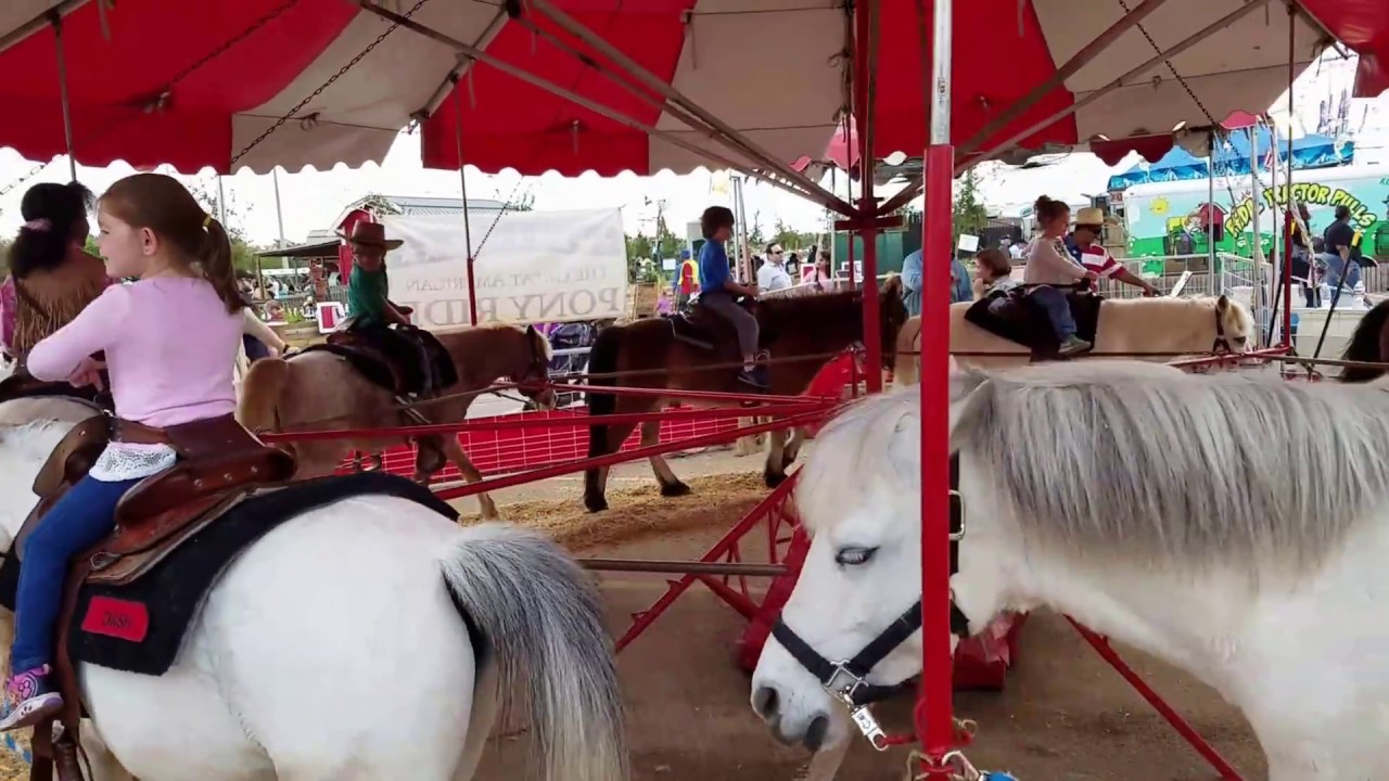 Victoria's Pony Ride at Houston Livestock Show and Rodeo 2017 - YouTube