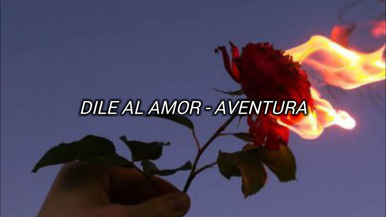 Dile Al Amor - Aventura (Letra/lyrics) - YouTube