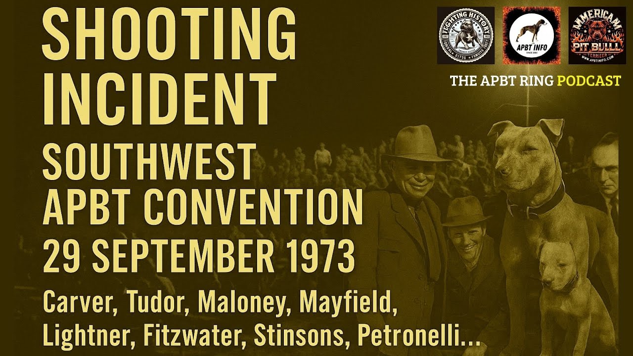 The Shocking 1973 Game Dog Convention Night | APBT HISTORY | Carver ...