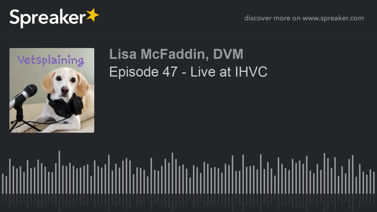 Episode 47 - Live at IHVC - YouTube