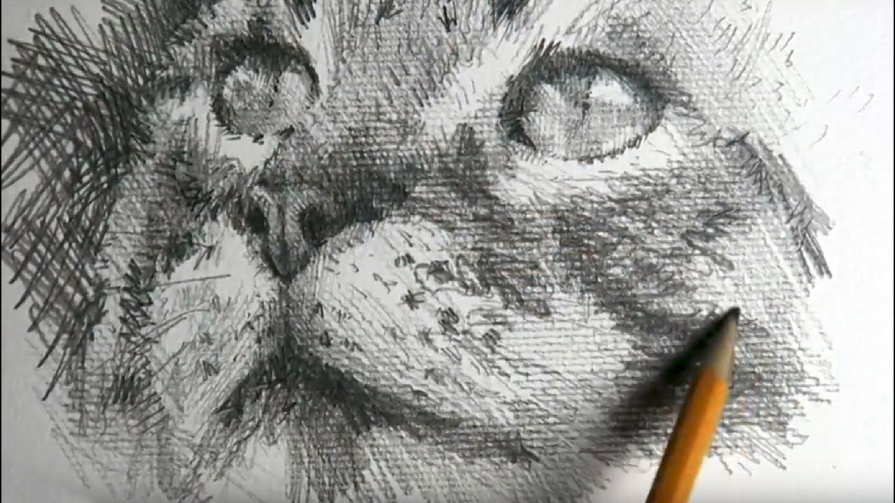 DRAWING - NARRATED - REALTIME - How to draw a cat - YouTube