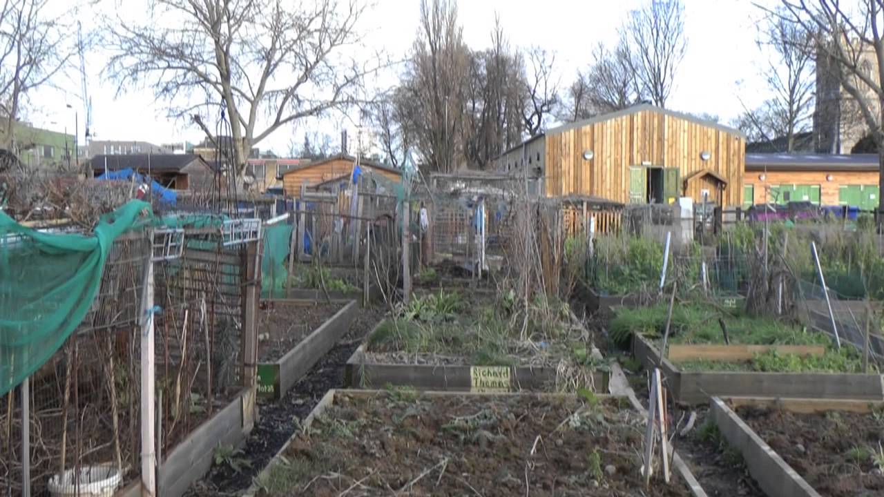 Stepney Green City Farm FINAL - YouTube