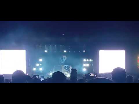 The Offspring Self Esteem live at Riot Fest 2024 - YouTube