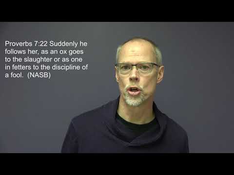 Proverbs 7:22 Seduction & Adultery