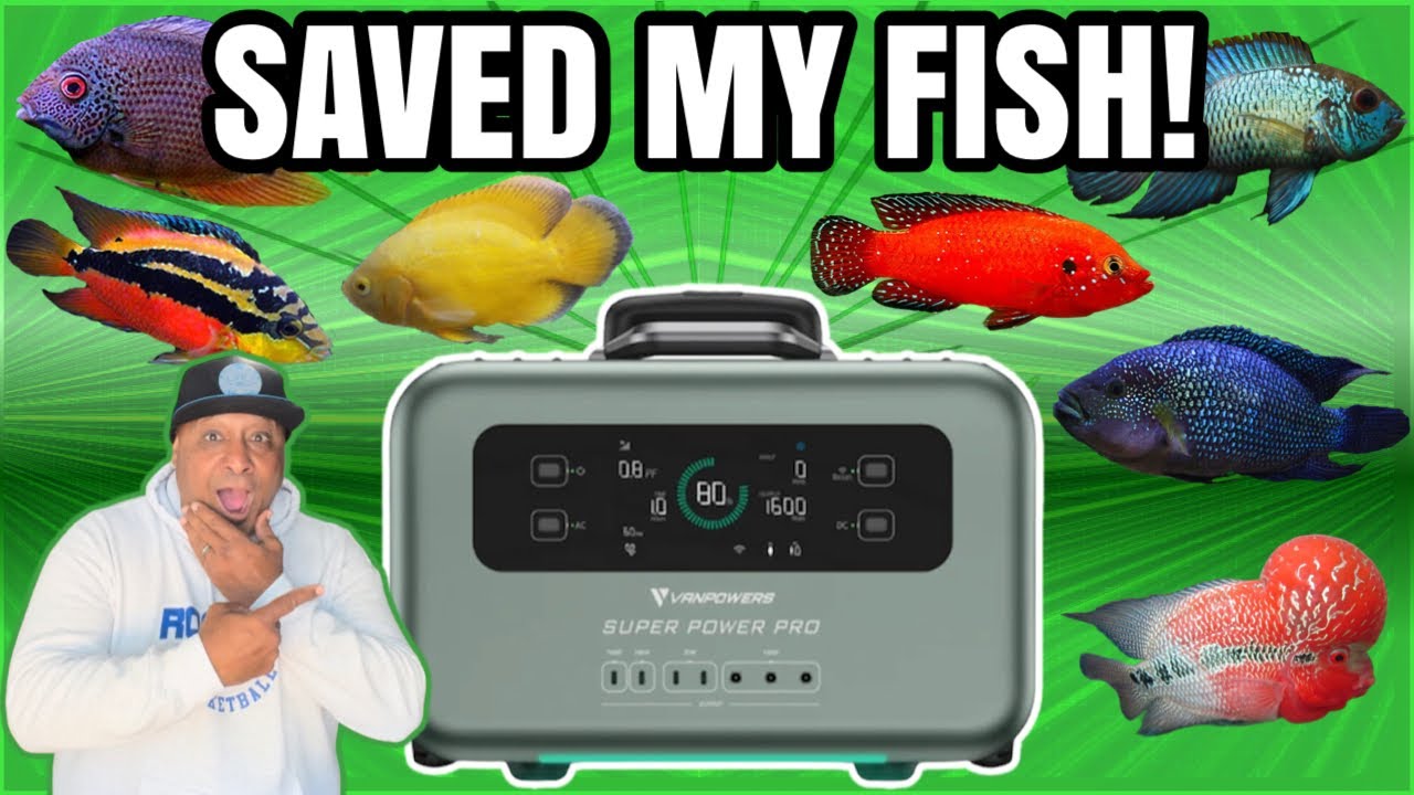 Vanpowers Super Power Pro SAVED ALL MY AQUARIUM FISH! - YouTube