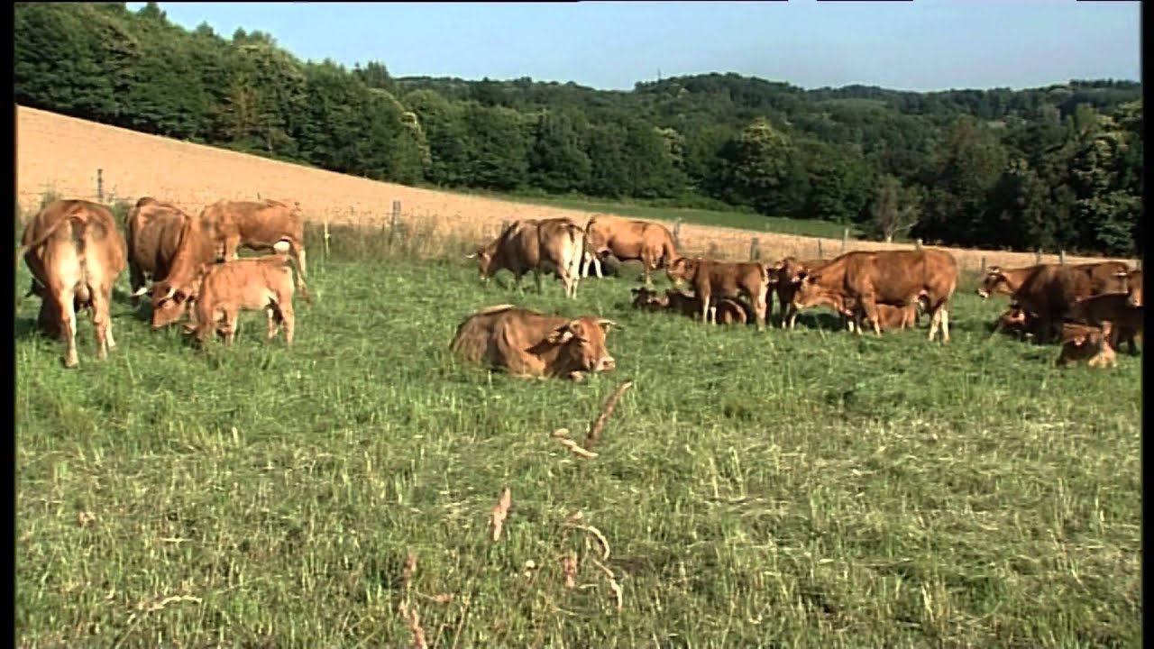 Le Haut Segala - YouTube