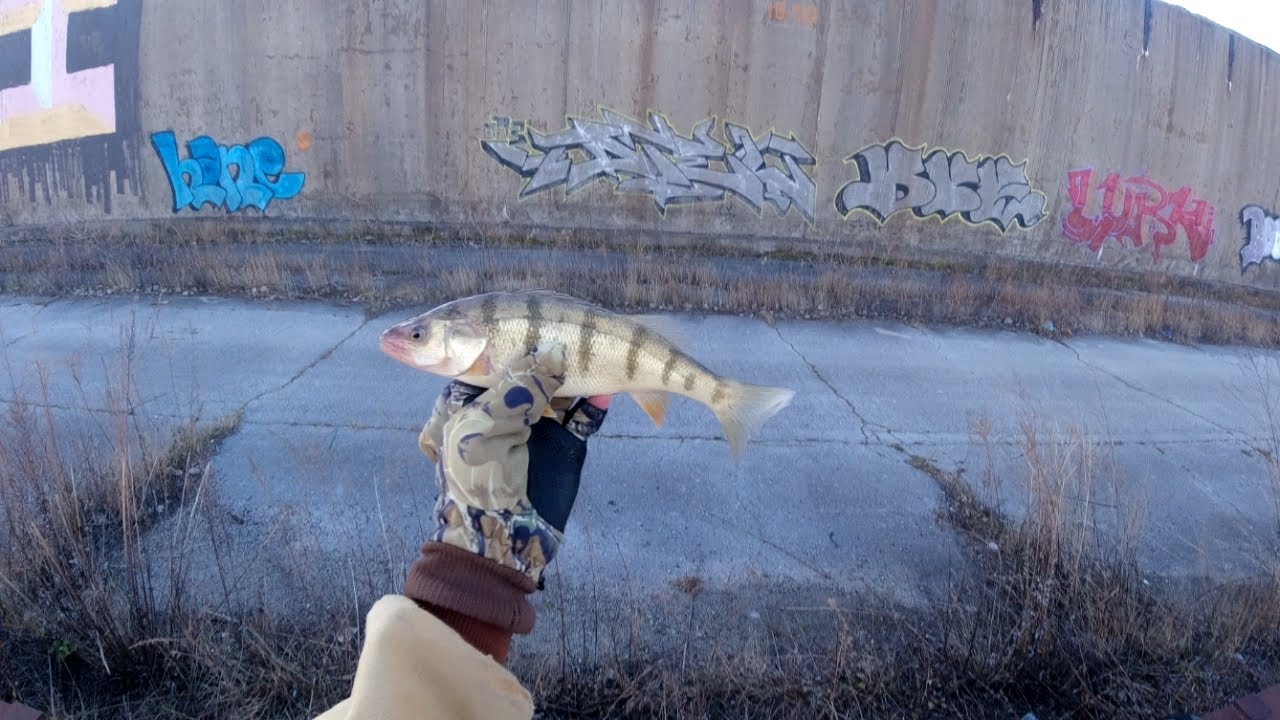 CHICAGO PERCH FISHING 2021 @ 87TH STREET SLIP - YouTube
