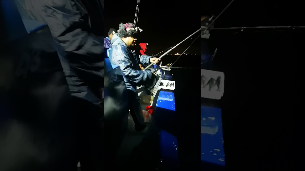 Geelbek fishing Durban. Deepsea night fishing Durban 3/12/2021 - YouTube
