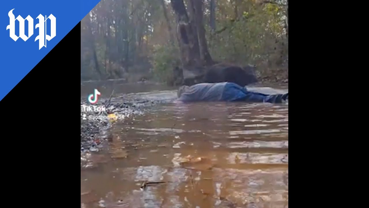 Man playing dead on TikTok lands role as corpse on TV - YouTube