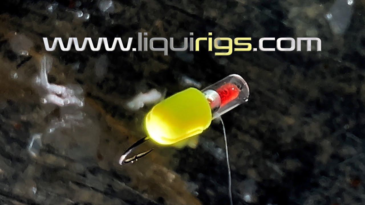 Liquirigs Liquid Zig Aligna with Maggot, Carp Fishing Zig Rigs. - YouTube