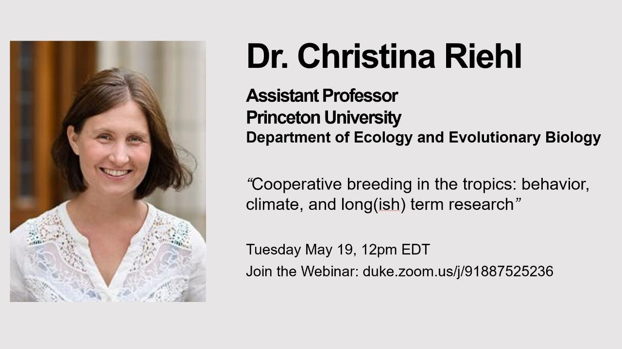 Dr. Christina Riehl: Long-Term Animal Research Seminar Series - YouTube