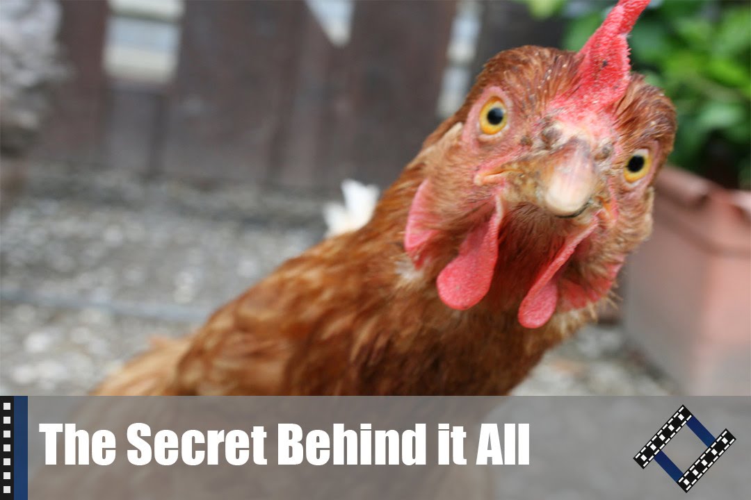 The Secret Behind it All - YouTube