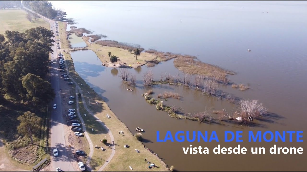 🎥🦩Volando en la Laguna de Monte [VIDEO - DRONE] 🦅🚁 - YouTube
