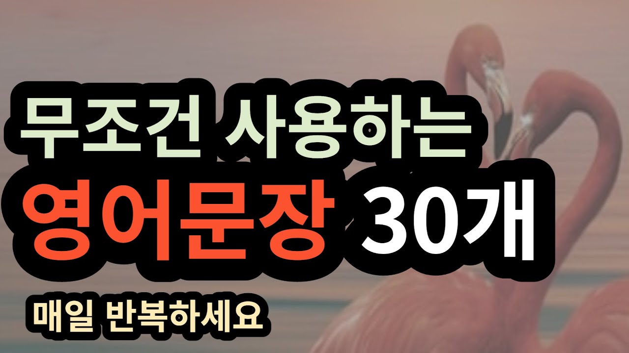 실생활에서 자주 사용하는 영어문장 30개 1ㅣ영어회화ㅣ왕초보 영어ㅣ생활영어ㅣ쉐도잉ㅣ영어듣기ㅣ영어말하기ㅣ영어공부ㅣ영어문장 반복ㅣ