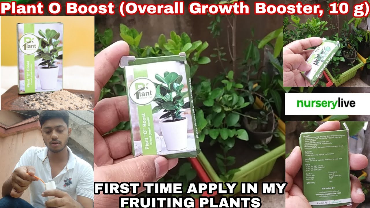 HOW TO USE PLANT O BOOST ( OVERALL GROWTH BOOSTER ) IN FRUITING PLANTS# ...
