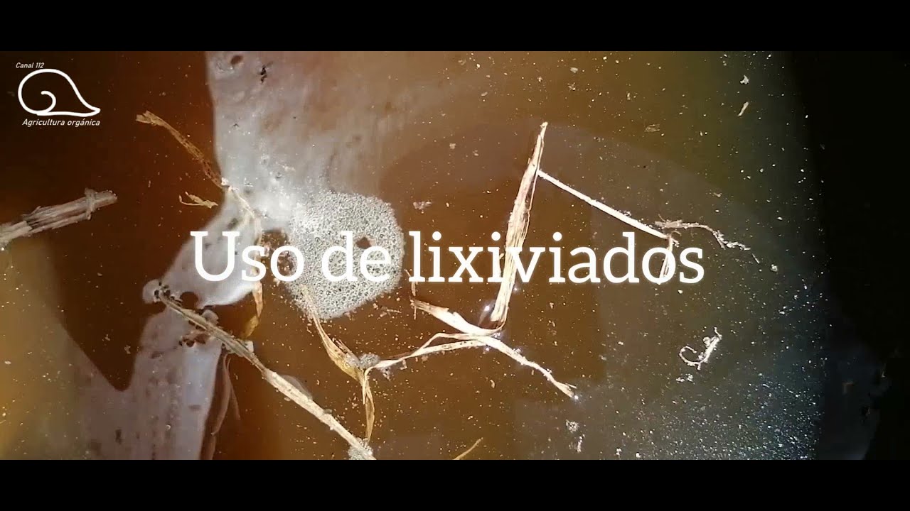 Uso de lixiviados | canal 112 agricultura orgánica - YouTube