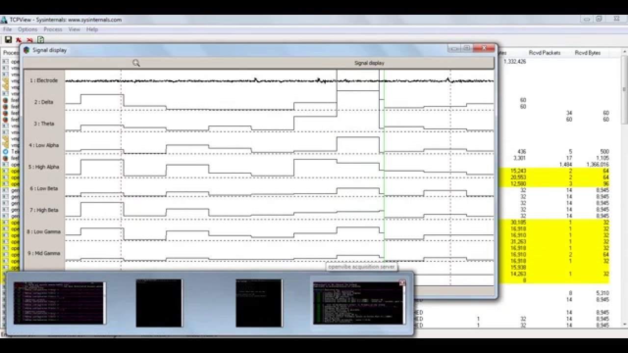 OpenViBE (EEG [brain waves]) Acquisition Server Remote DoS - YouTube