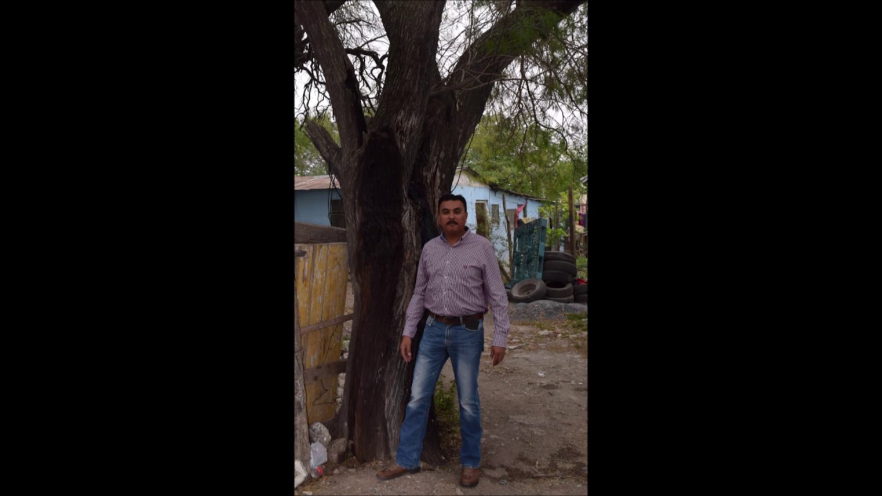 COMO UN CHANGO COLGANDO - YouTube