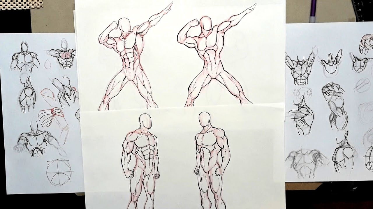 Lets Make a COMIC BOOK together pt.6 Torso and Delts - YouTube