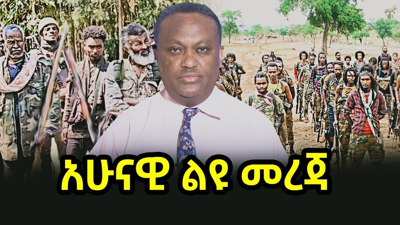 አሁናዊ ልዩ መረጃ 19/05/17 | salis - YouTube