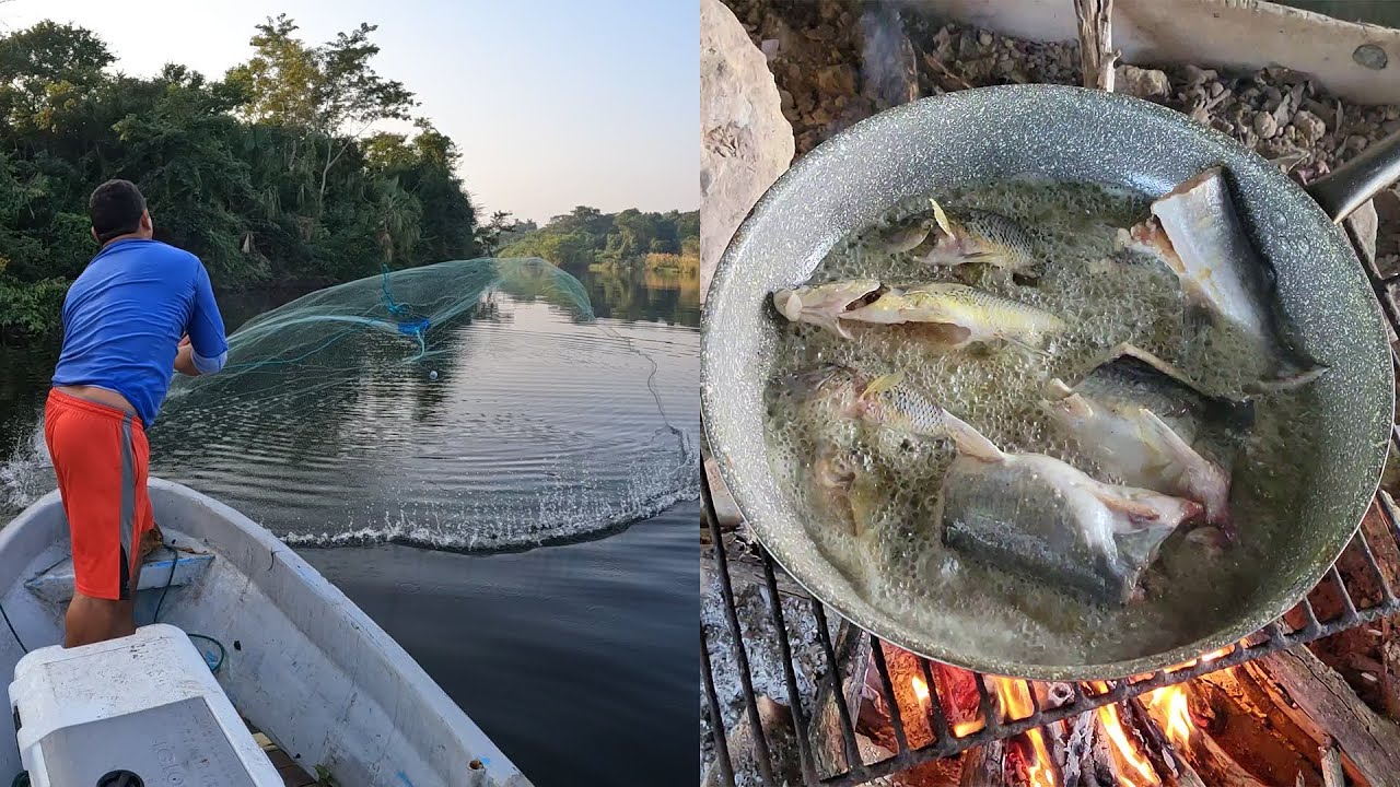 Pesca con atarraya en el amanecer campamento y cocina a la orilla del ...