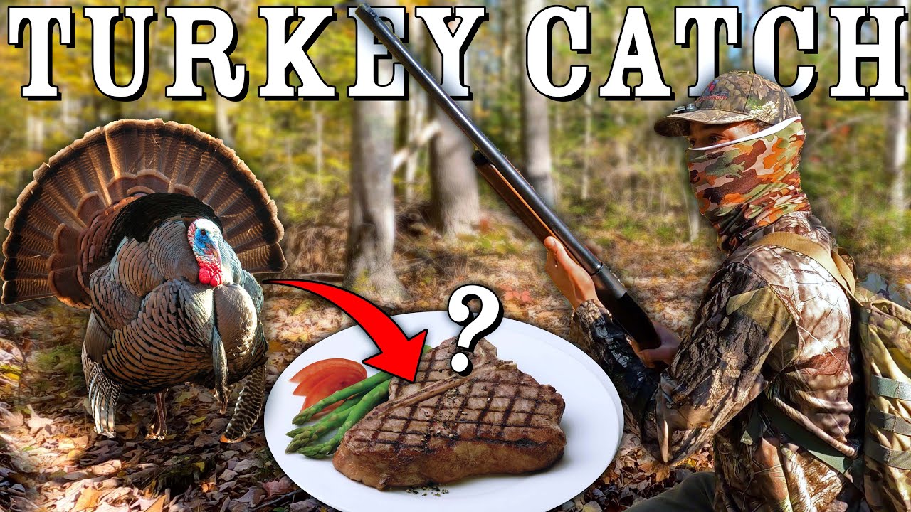 Catch and Cook Turkey? Deer? and Steak In Costal Maine - YouTube