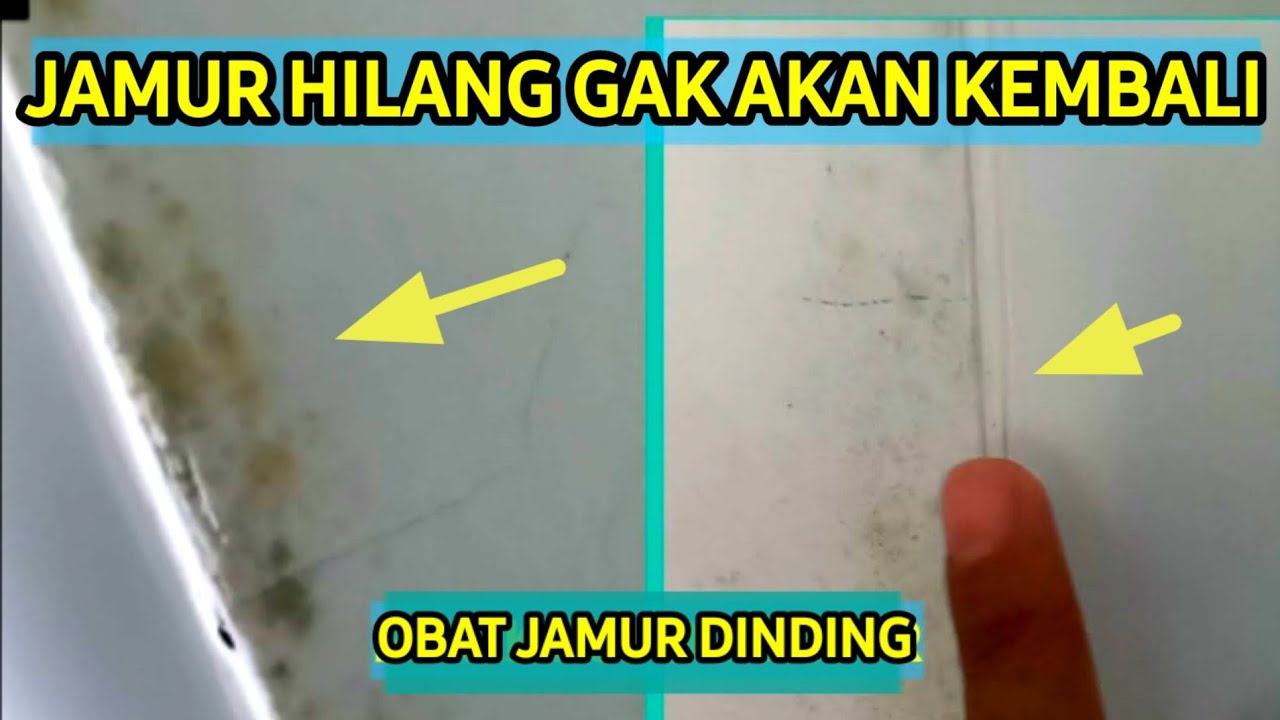CARA MUDAH MEMBERSIHKAN JAMUR PADA DINDING RUMAH - YouTube