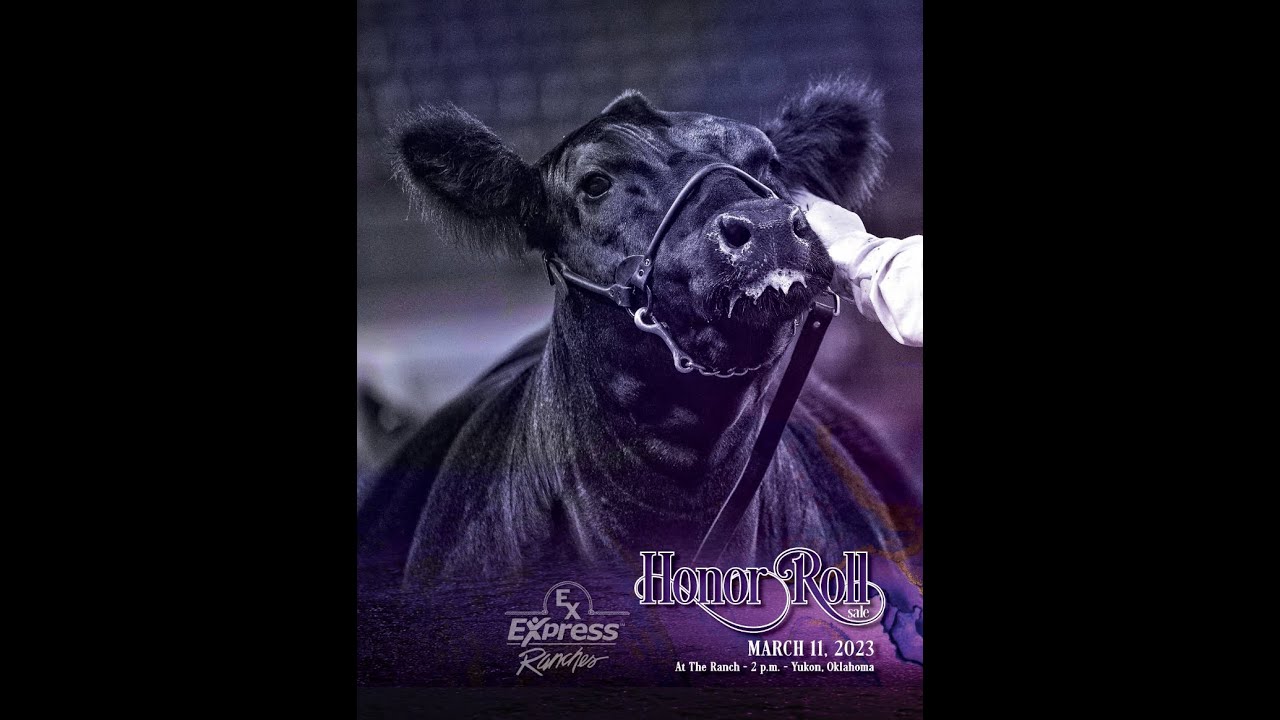Express Ranches 2023 Honor Roll Sale Catalog, Yukon Oklahoma - YouTube
