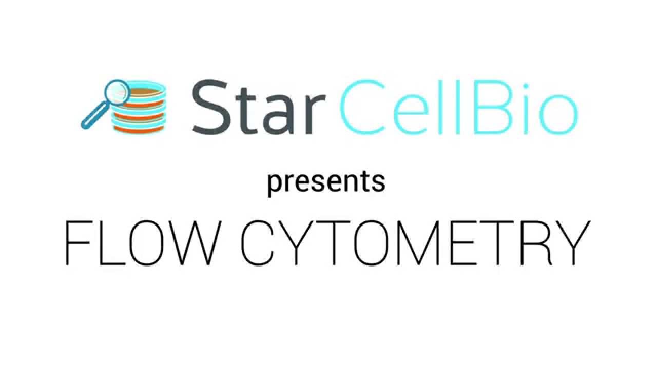 Flow Cytometry Animation - YouTube
