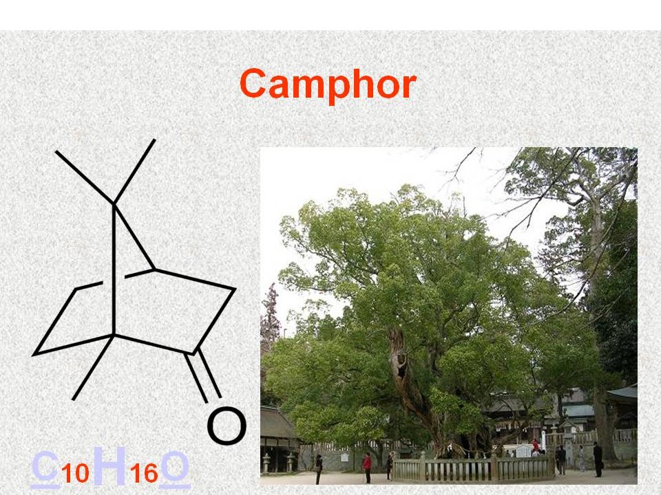 CAMPHOR - ΑΝΤΙΜΕΤΩΠΙΣΗ ΟΞΕΩΝ ΚΑΤΑΣΤΑΣΕΩΝ ΜΕ ΟΜΟΙΟΠΑΘΗΤΙΚΗ - YouTube